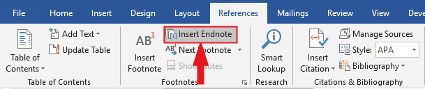  How To Insert Endnote In Word Step by Step Software Accountant