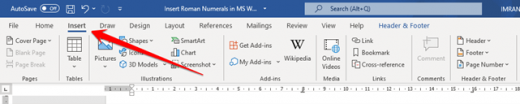 How To Insert Roman Numerals And Page Numbers In Word Software Accountant